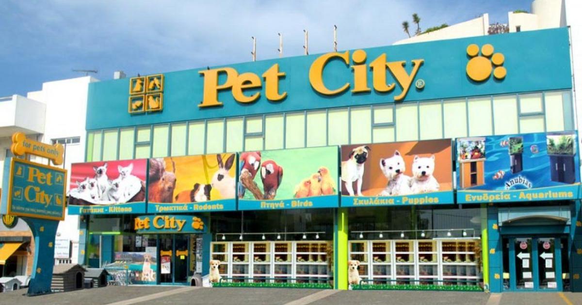 Τα καταστήματα Pet City αναζητούν προσωπικό | Proson