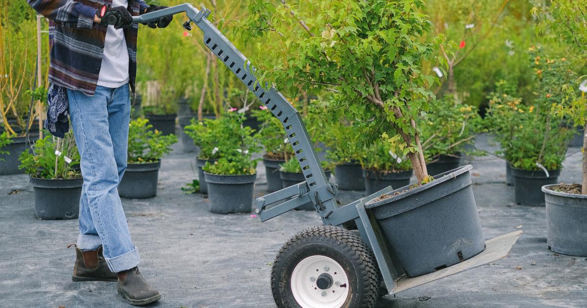 Ο δήμος Βόλου προχωρά σε 21 προσλήψεις | Proson