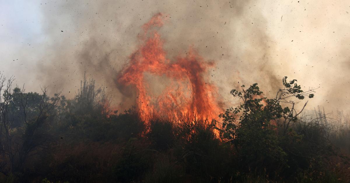Ασπρόπυργος: Ξέσπασε φωτιά «τώρα» σε μάντρα αυτοκινήτων | Proson