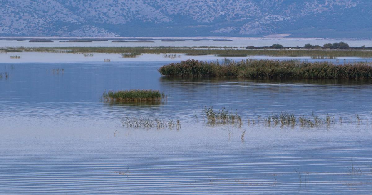 Πλημμύρες: Ανεβαίνουν επικίνδυνα τα νερά στη λίμνη Κάρλα - Μήνυμα από το 112 | Proson