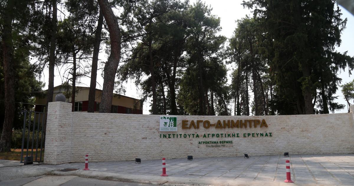 ΕΛΓΟ - ΔΗΜΗΤΡΑ: 20 νέες προσλήψεις σε οκτώ περιοχές της χώρας | Proson