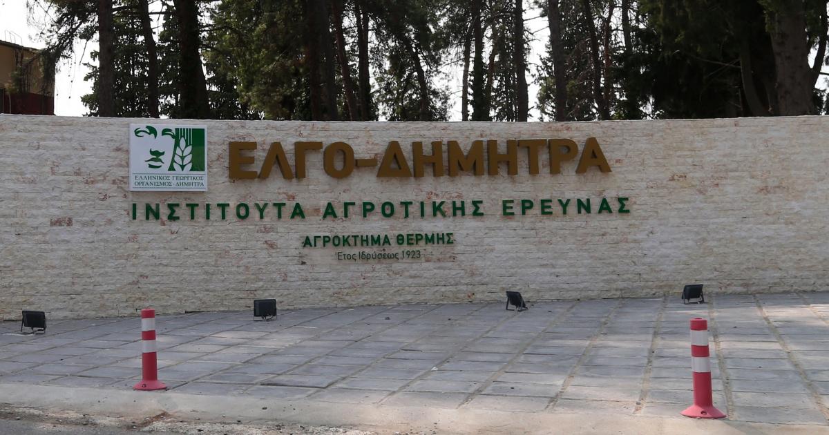 Νέες θέσεις προσωπικού στον Ελληνικό Γεωργικό Οργανισμό - Δήμητρα | Proson