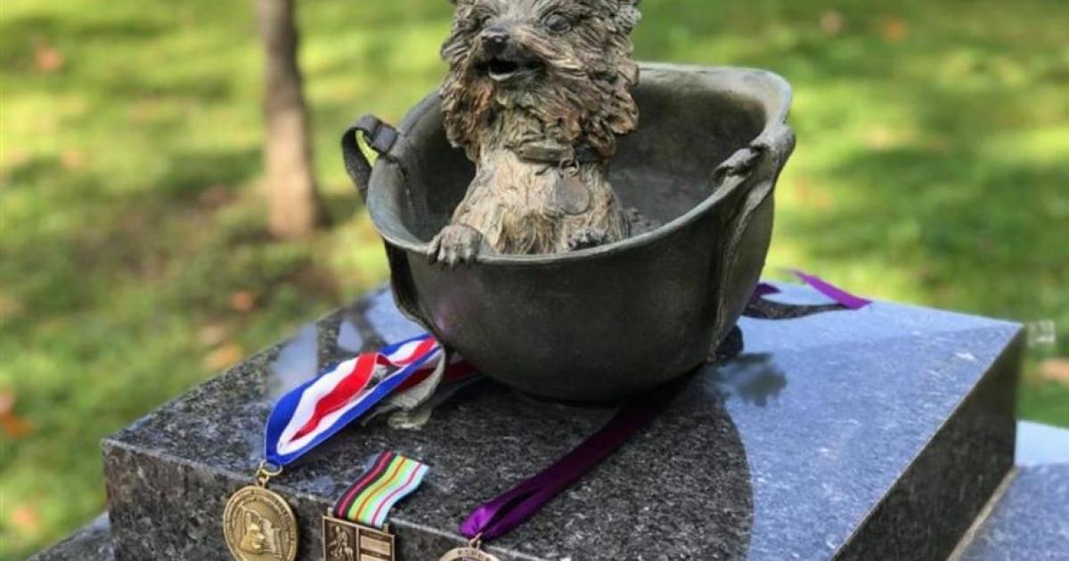 Μια απίθανη ιστορία: πώς ένα μικρόσωμο σκυλάκι Γιορκσάιρ έσωσε 250 αμερικανούς στρατιώτες και 40 ...