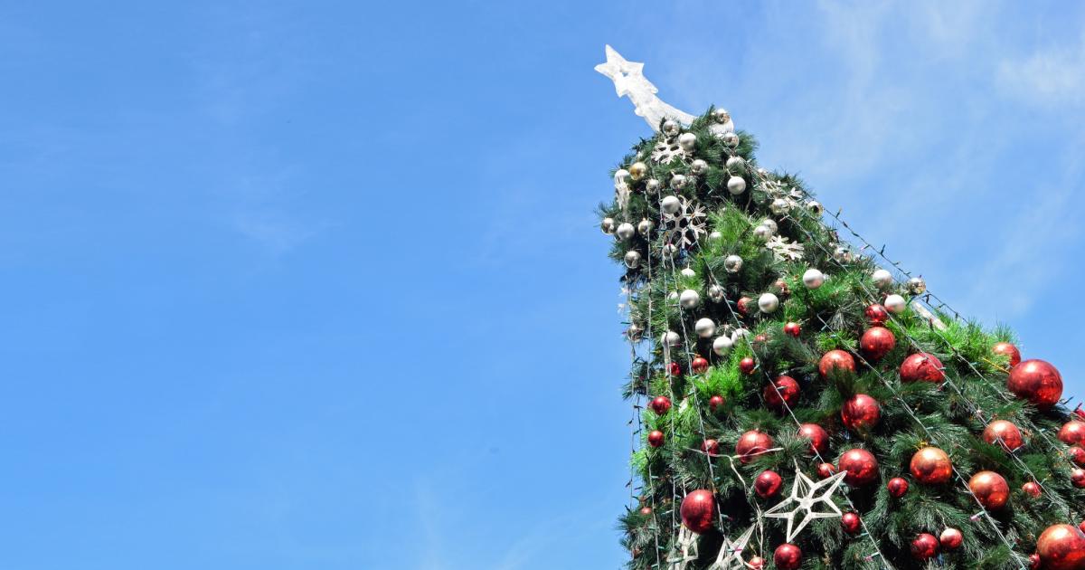 Στήθηκε το χριστουγεννιάτικο δέντρο στο Σύνταγμα! | Proson