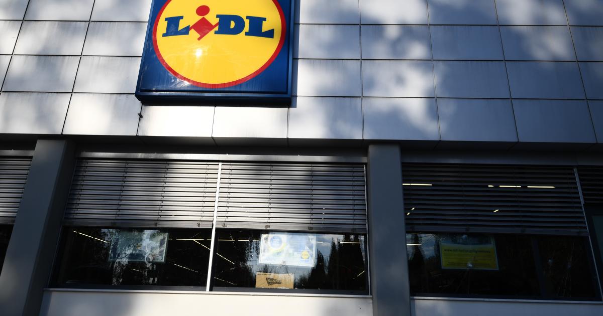 Καταστήματα LIDL: Πάνω από 30 ανοικτές θέσεις εργασίας σε όλη τη χώρα | Proson