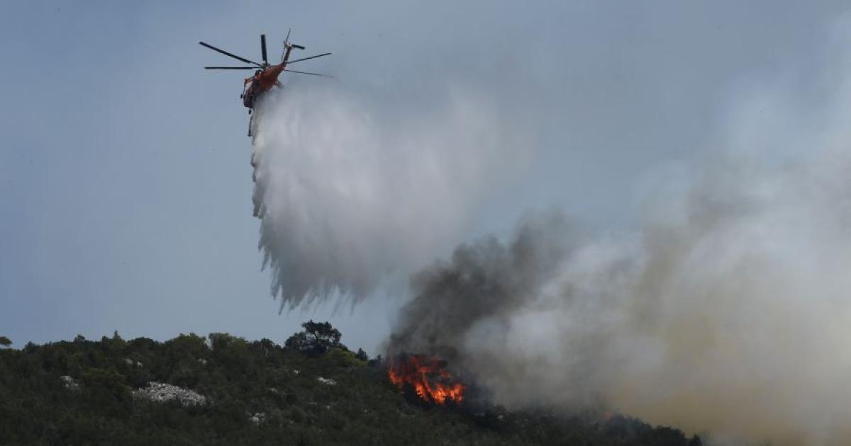 Νέα Μάκρη: Φωτιά καίει δίπλα σε σπίτια - Ήχησε το 112 | Proson