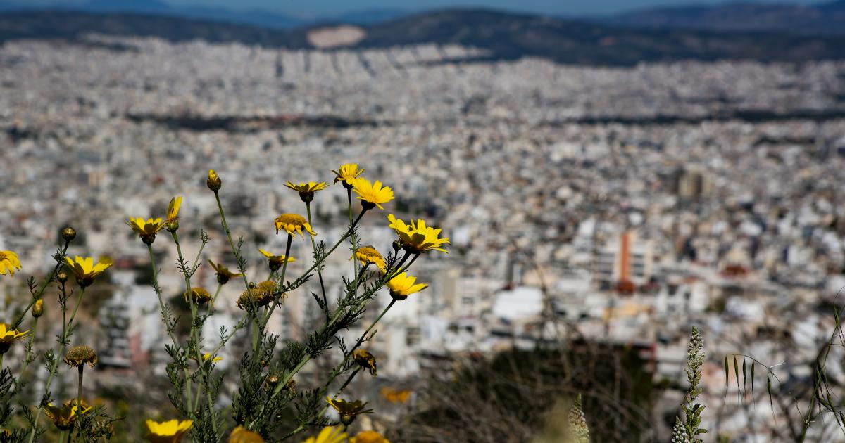 Πρωτοχρονιά: «Κλείδωσε» ο καιρός - Με γυαλιά ηλίου θα αλλάξουμε έτος | Proson