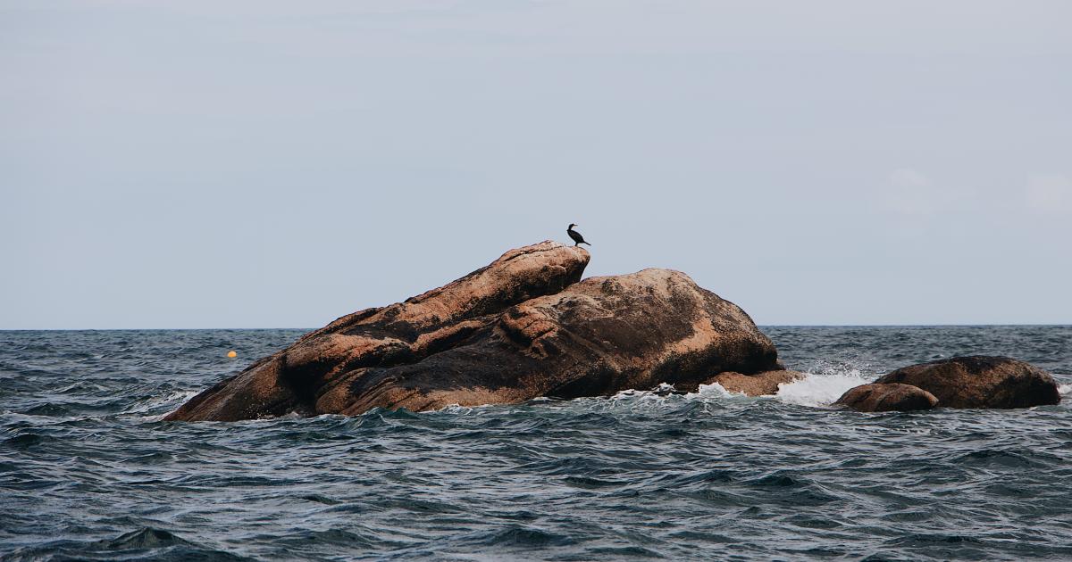 Τι σημαίνει η λέξη «ποντοπόρος»; | Proson