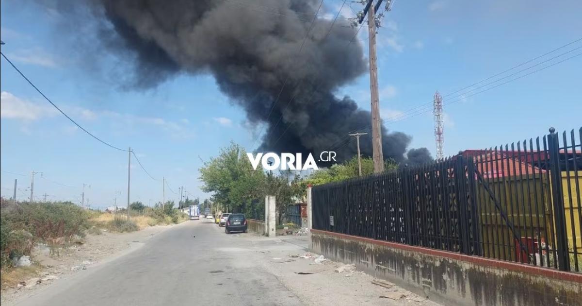 Φωτιά τώρα στη Σίνδο, σε χώρο ανακύκλωσης - Ήχησε το 112 (βίντεο) | Proson