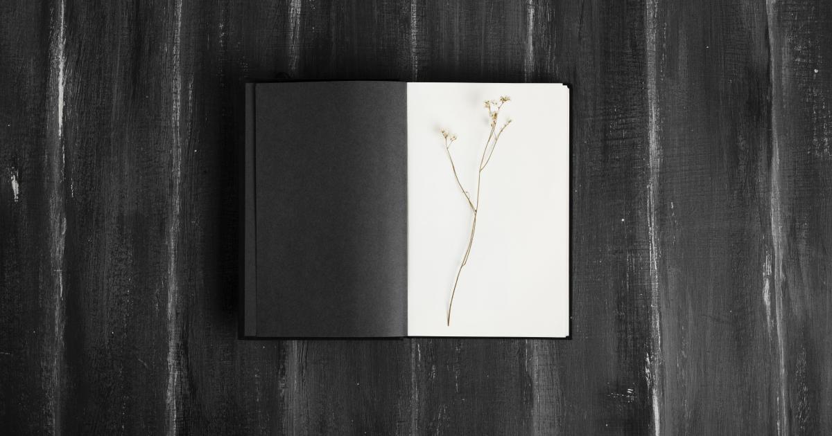 Τι σημαίνει η λέξη «κέλης» | Proson