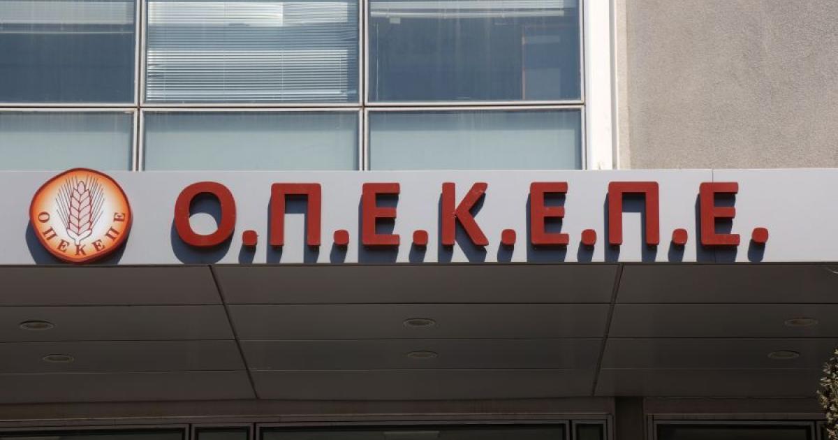 ΟΠΕΚΕΠΕ: 100 με μισθό 1.300 ευρώ - Κλείνουν το μεσημέρι οι αιτήσεις | Proson