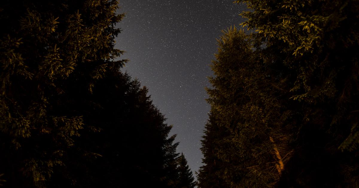 Περσείδες: Πρεμιέρα αύριο για τα καλοκαιρινά πεφταστέρια | Proson