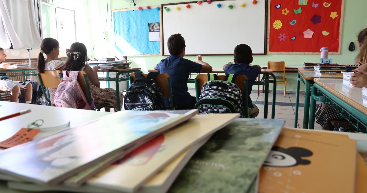 ΕΣΑμεΑ: Κενά και ελλείψεις στην εκπαίδευση για τα παιδιά με αναπηρία | Proson