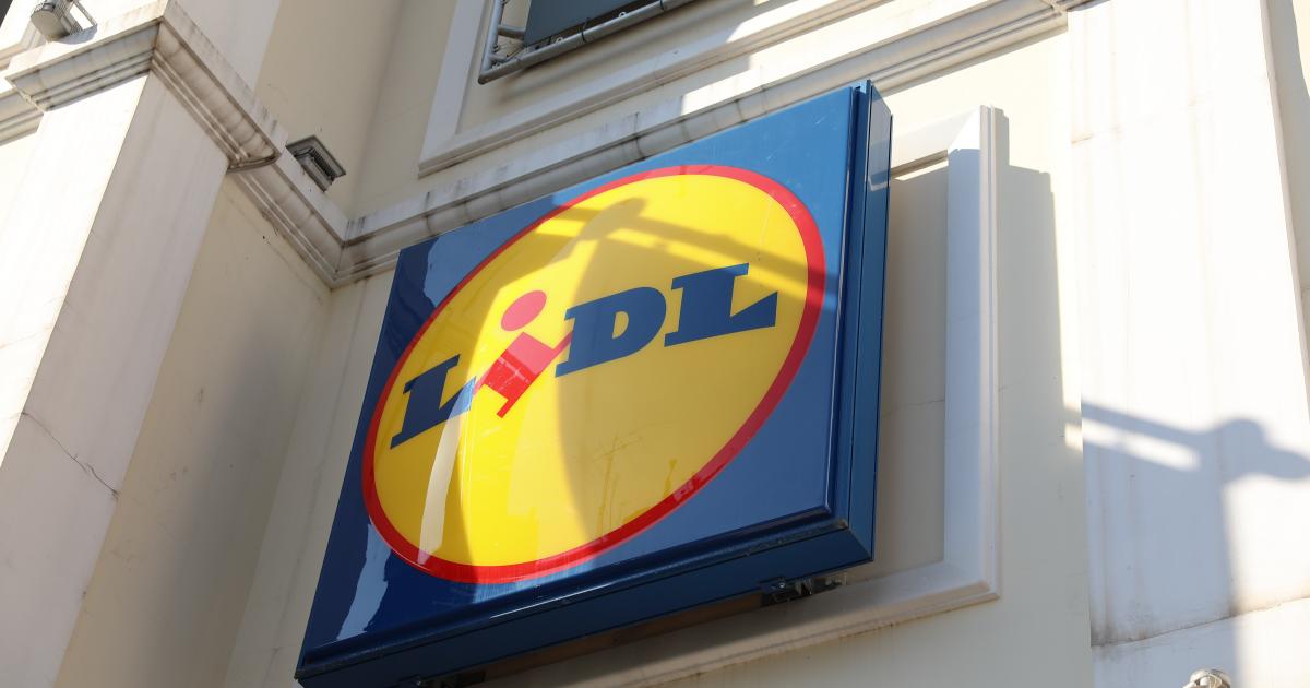 LIDL Hellas: Πάνω από 30 θέσεις εργασίας σε όλη την Ελλάδα - Οι ...